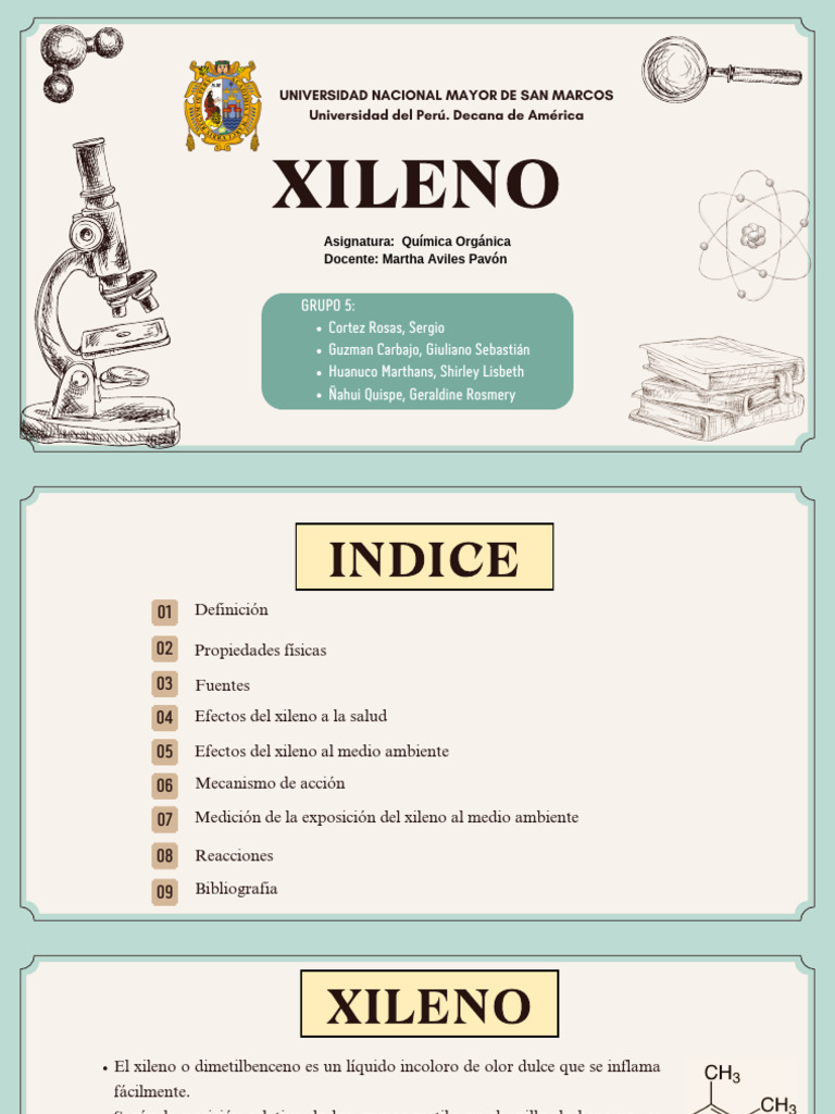 XILENO | PDF