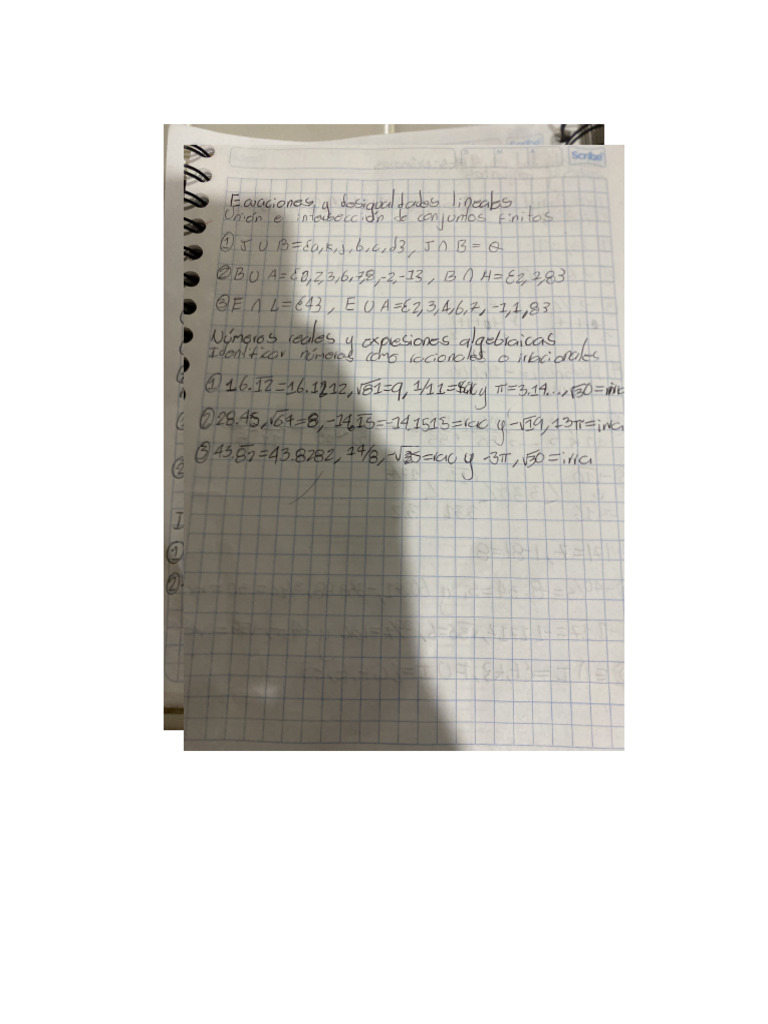 M1 Objetivo 1 ALEKS Números Reales y Conjuntos | PDF