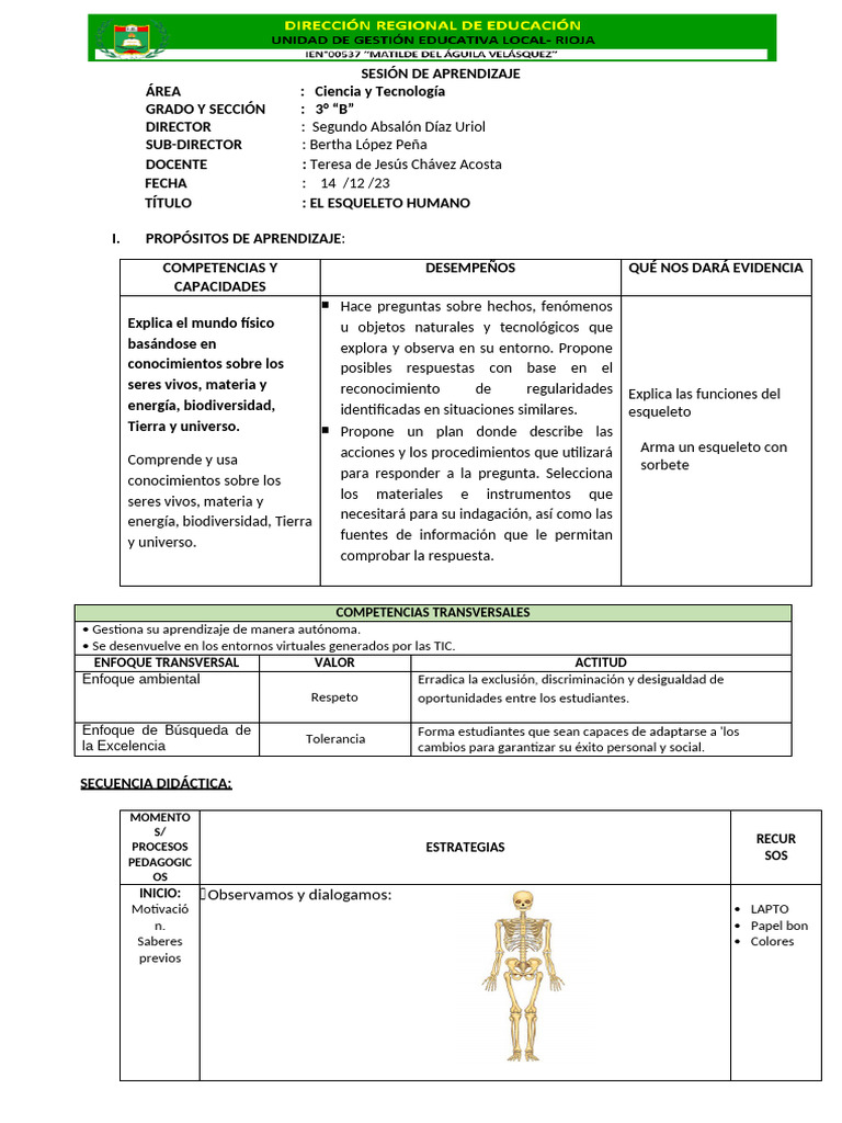 SESIÓN DE APRENDIZAJE CyT - EL ESQUELETO HUMANO | PDF