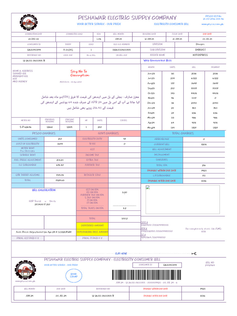 Pesco Online Bill | PDF