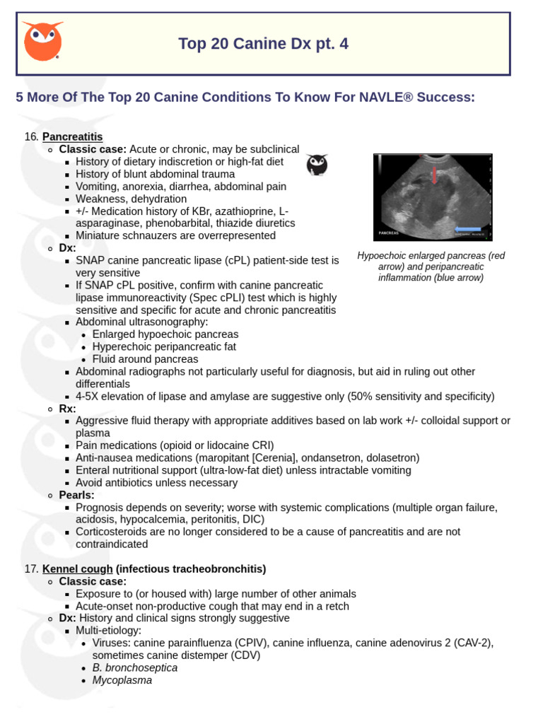 Top 20 Canine DX Pt. 4 0 | PDF