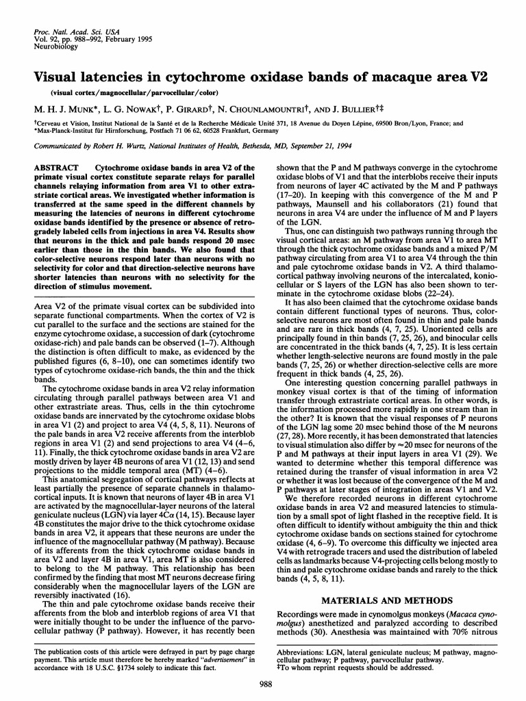 Visual Latencies in Cytochrome Oxidase Bands of Macaque Area V2 | PDF | Visual Cortex | Visual ...