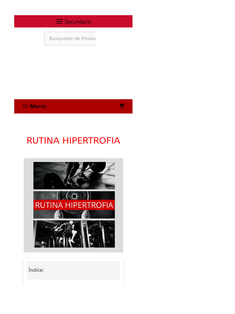 Rutina Hipertrofia para Aumentar Masa Muscular - Totemfit | PDF ...