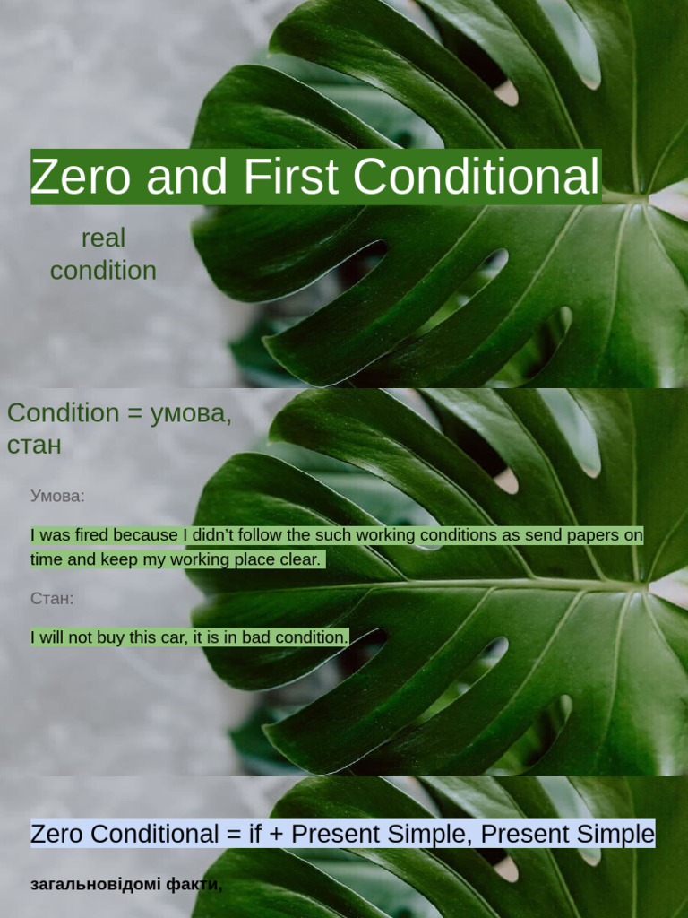 Zero and First Conditional | PDF