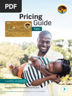 FNB PricingGuide Easy Zero | PDF | Credit Card | Debit Card