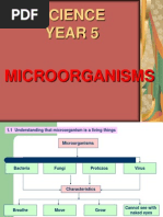 Chap 4 Microorganism worksheet 1 | PDF | Microorganism | Bacteria
