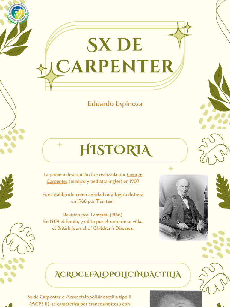 Sx de Carpenter | PDF