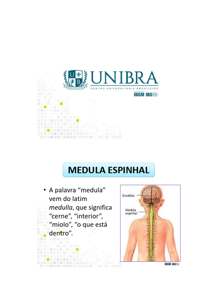 Aula 05 - Medula PDF | PDF