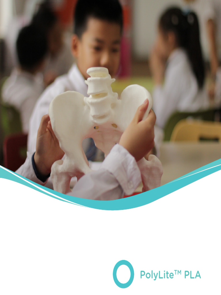 PolyLite PLA PIS EN V1.1 | PDF