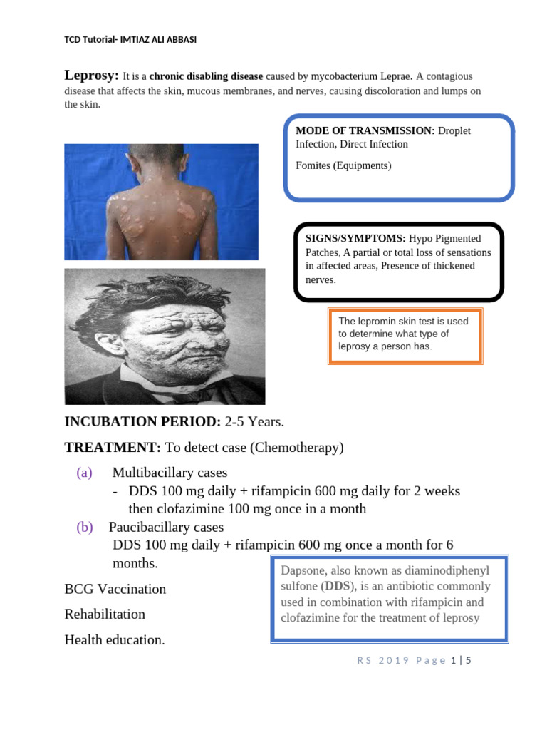 Tutorial Malaria, Dengue, Swine Flu and Leprosy | PDF | Swine Influenza | Influenza