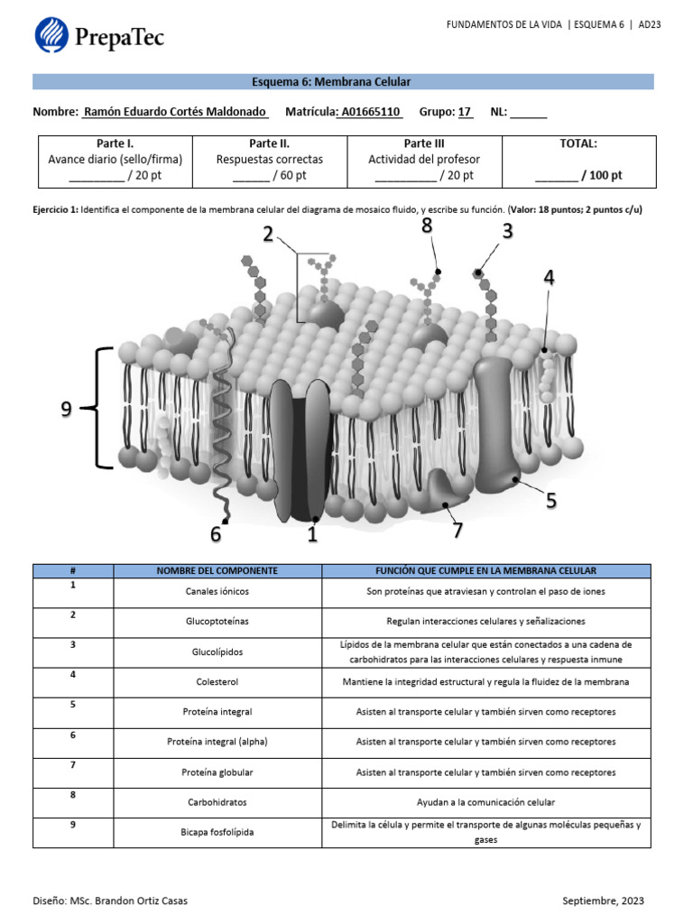 ESQUEMA 6_Membrana Celular_AD23 | PDF