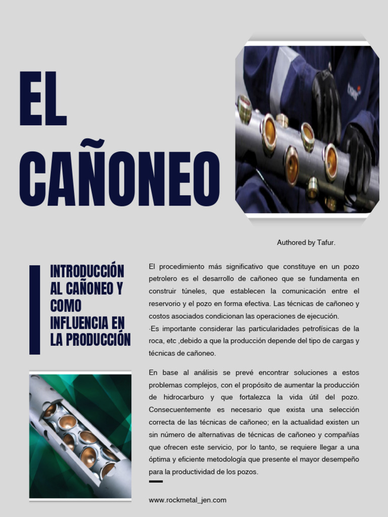 Cañoneo Revista | PDF | Energía renovable | Informática