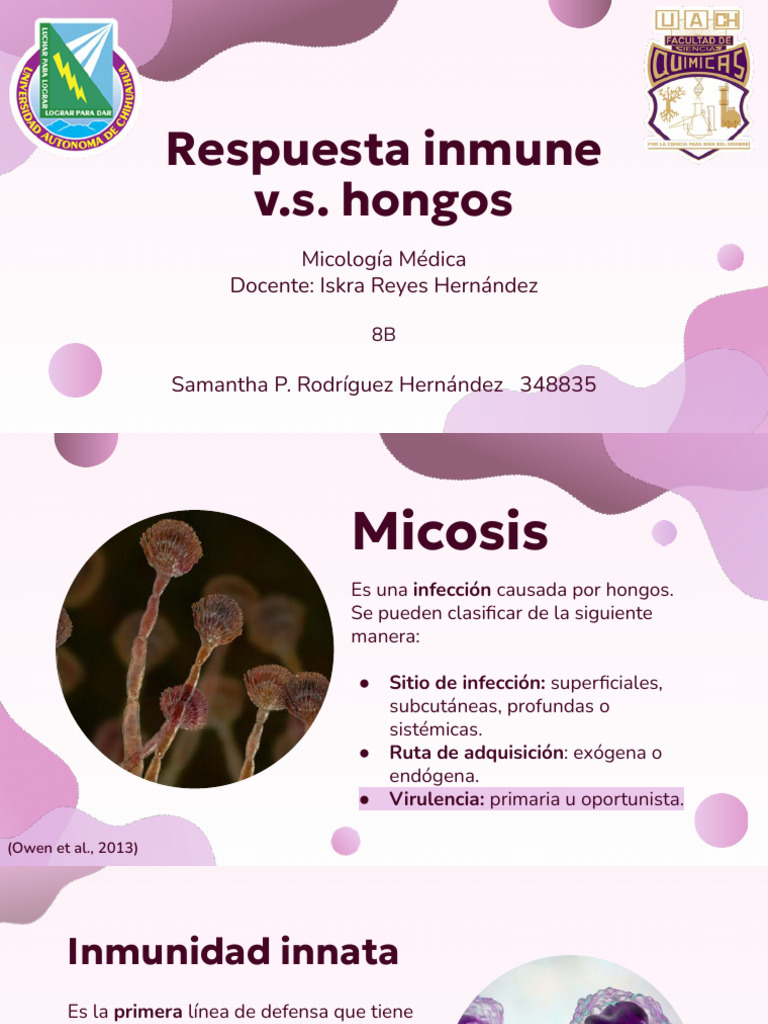 Respuesta Inmune V.S. Hongos | PDF | Sistema inmune | Sistema inmune innato