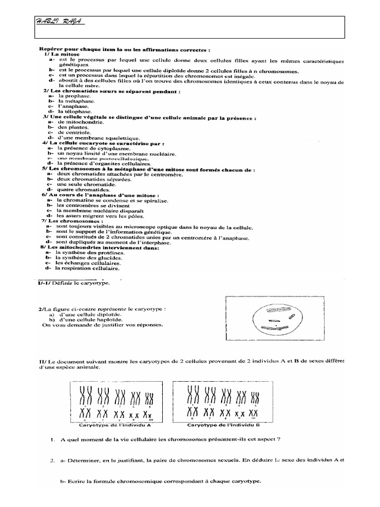 Devoir de Synthèse N°3 - SVT - 2ème Sciences (2006-2007) Mme Raja Habli | PDF