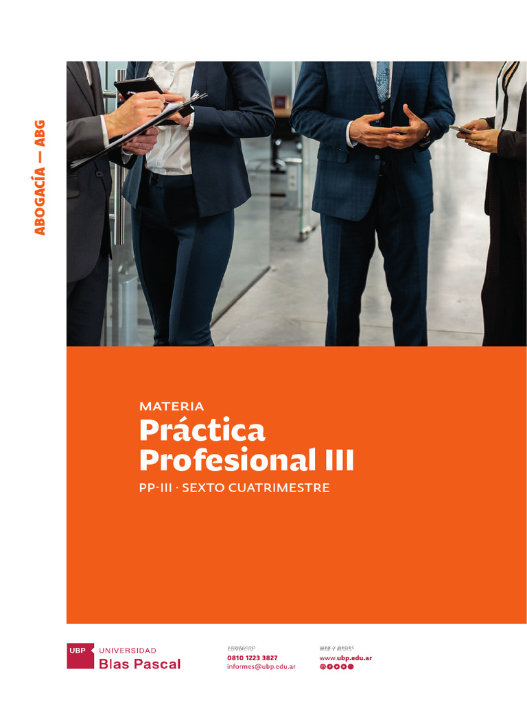 Práctica Profesional III | PDF