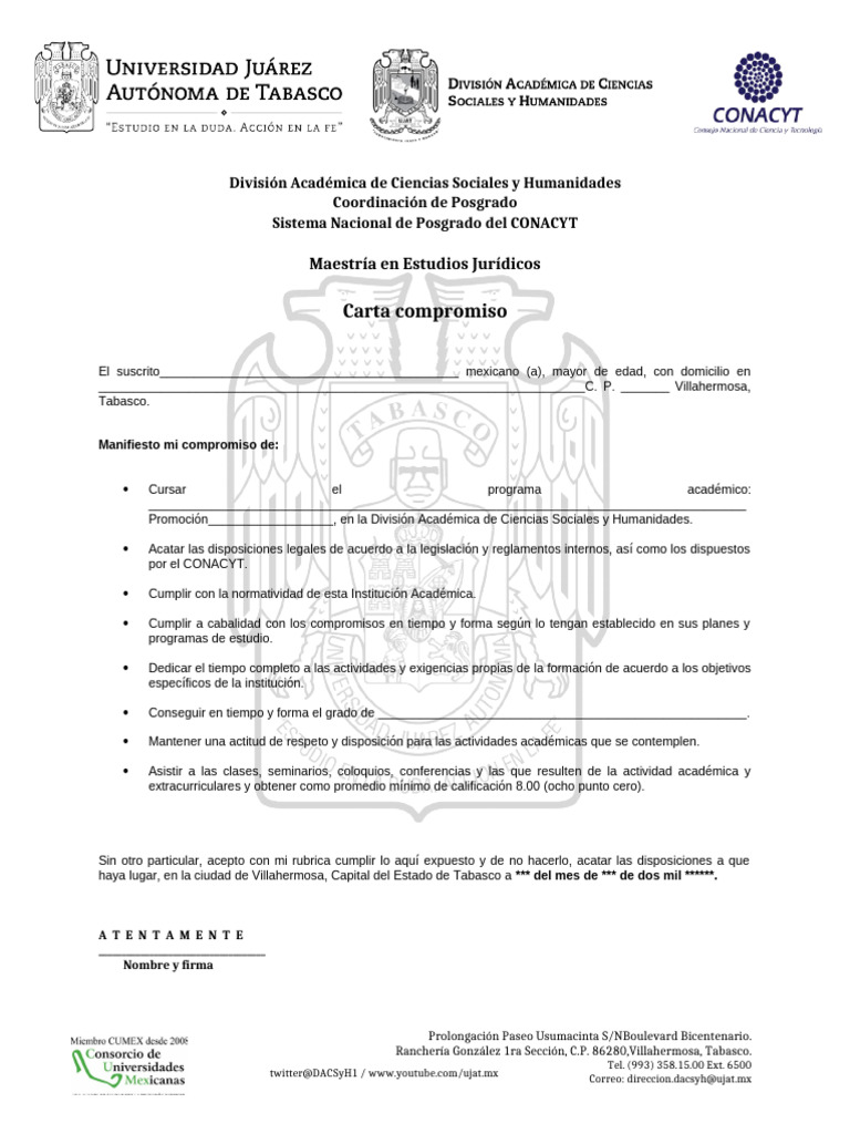 Formato SNP 1 Carta Compromiso MEJ | PDF