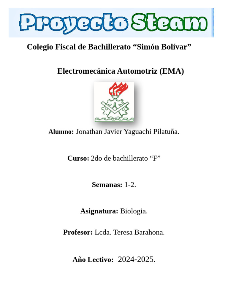 CARATULA DEL PROYECTO STEAM | PDF