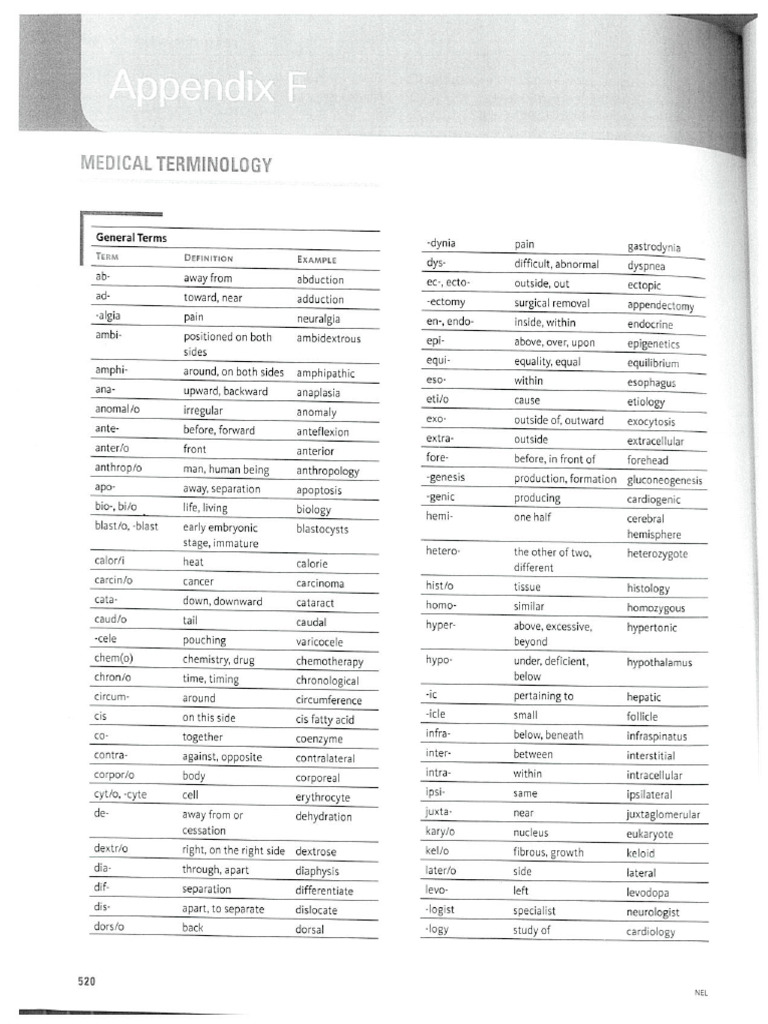 Medical Terminology | PDF