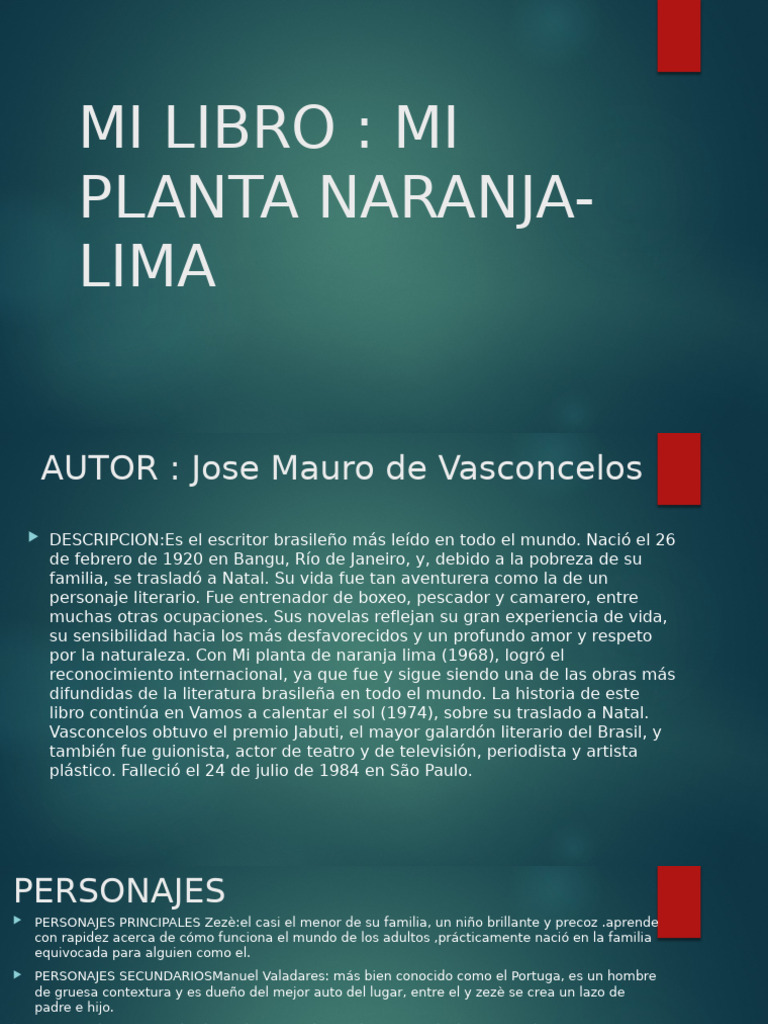 Mi Libro Pdf