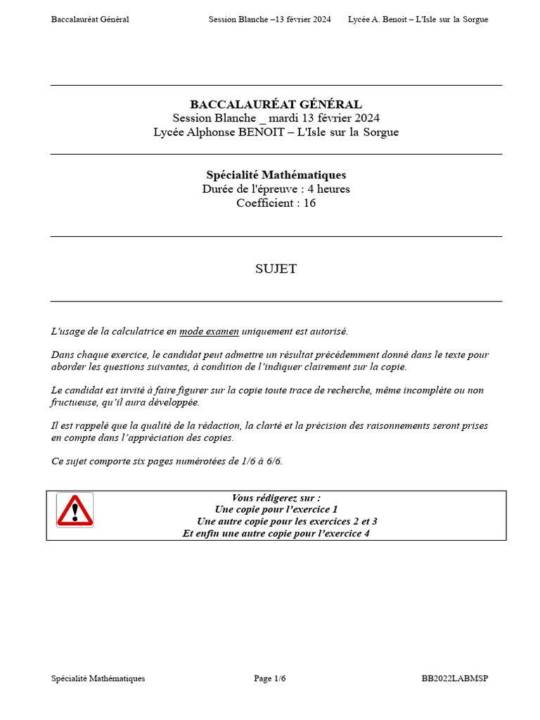 Bac Blanc 2024 | PDF