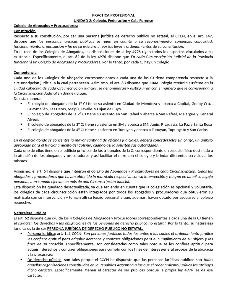 PRACTICA PROFESIONAL - U2 | PDF