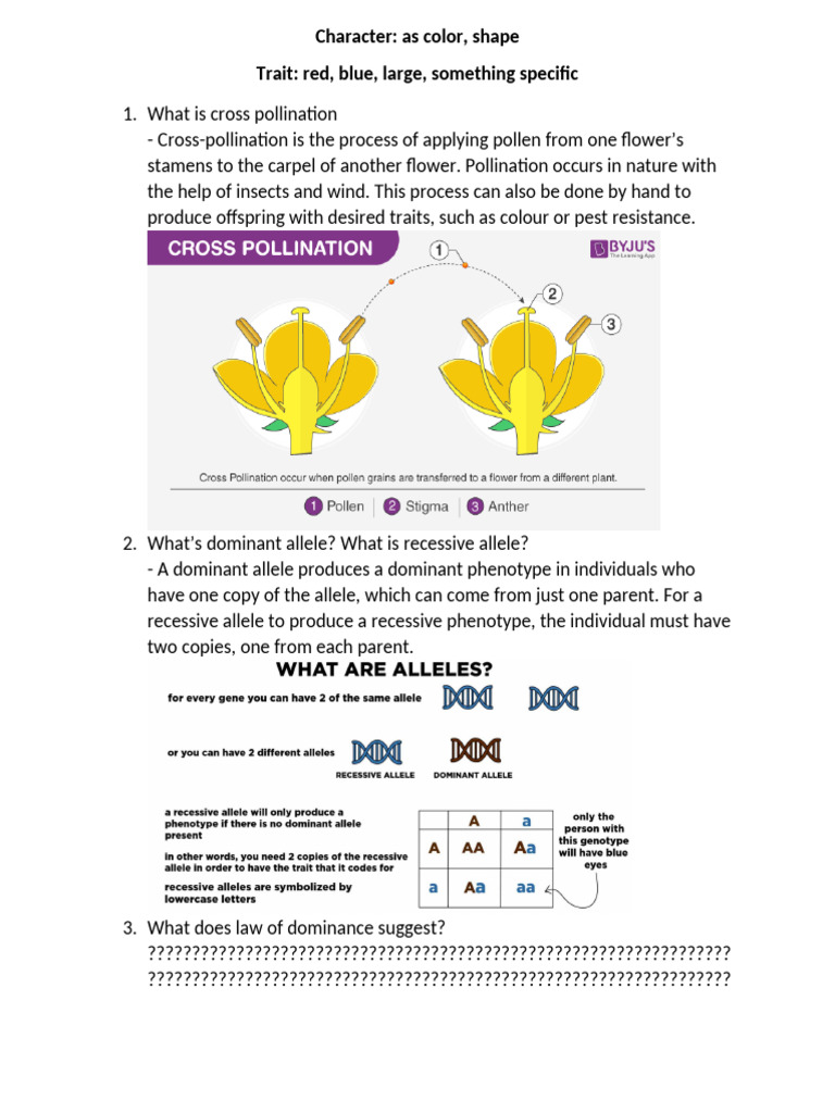 Mendelian Genetics and Probability Formative | PDF