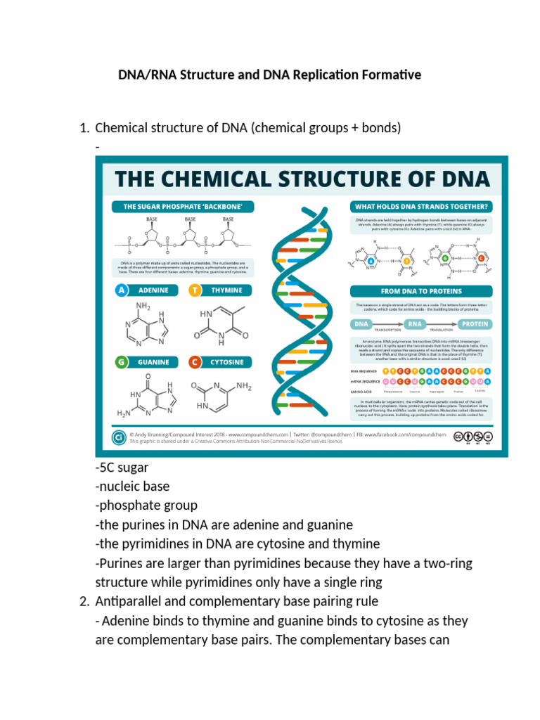 DNA_structure_and_DNA_replicaton_Formative | PDF