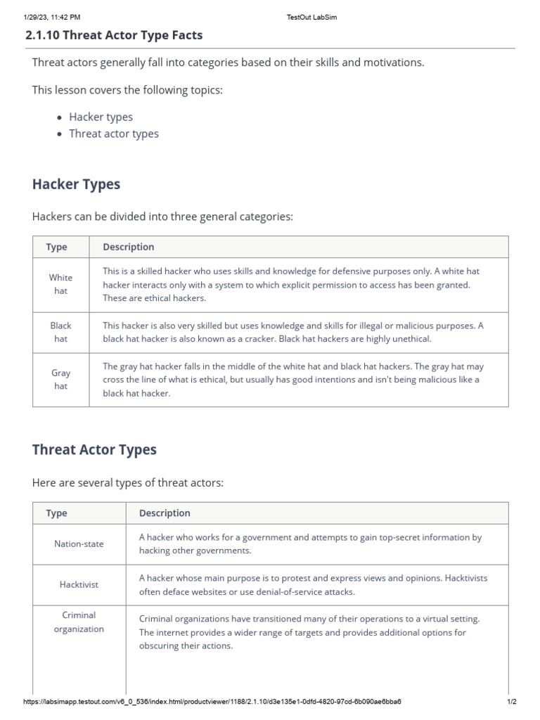 2.1.10 Threat Actor Type Facts | PDF