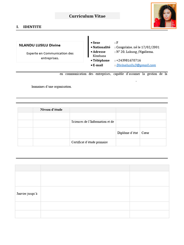 CV Divine Nlandu Lusilu | PDF