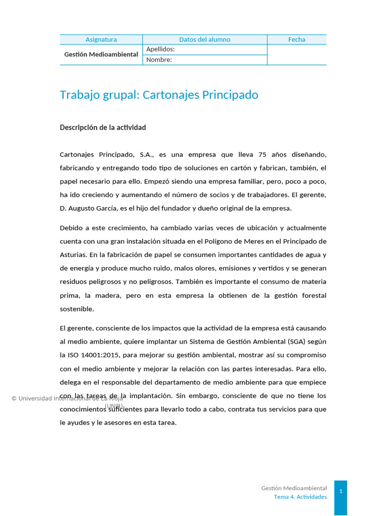 Actividad Grupal Cartonajes Principado FINAL | PDF