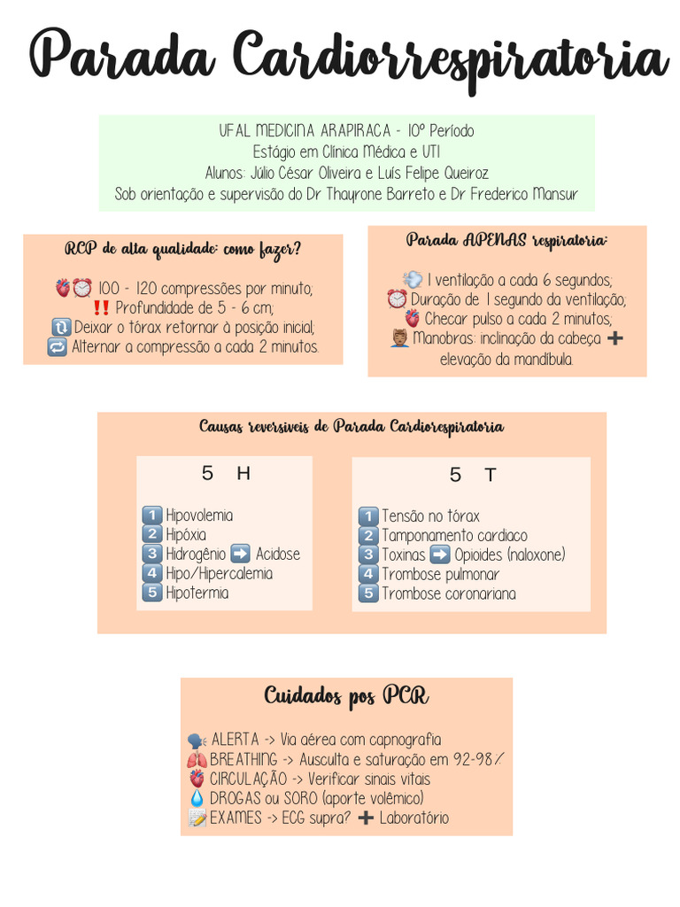 Instrumentos SAMUMED | PDF