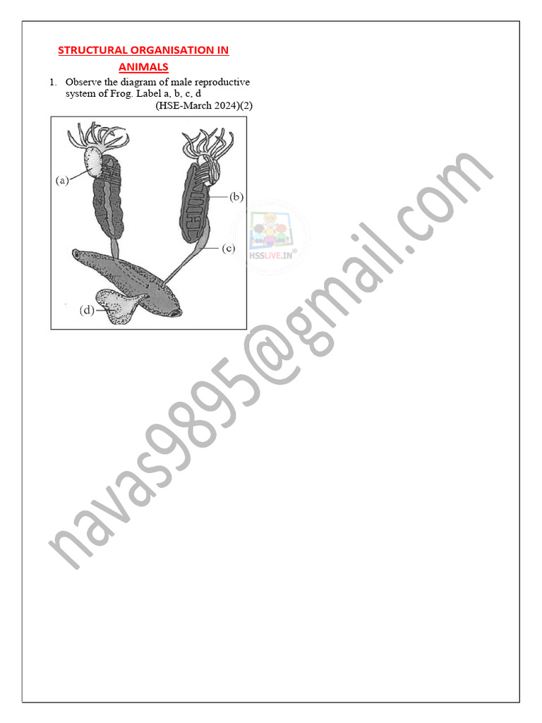 Hsslive-Xi-Zool-Pyq-03-Frog 2024 | PDF