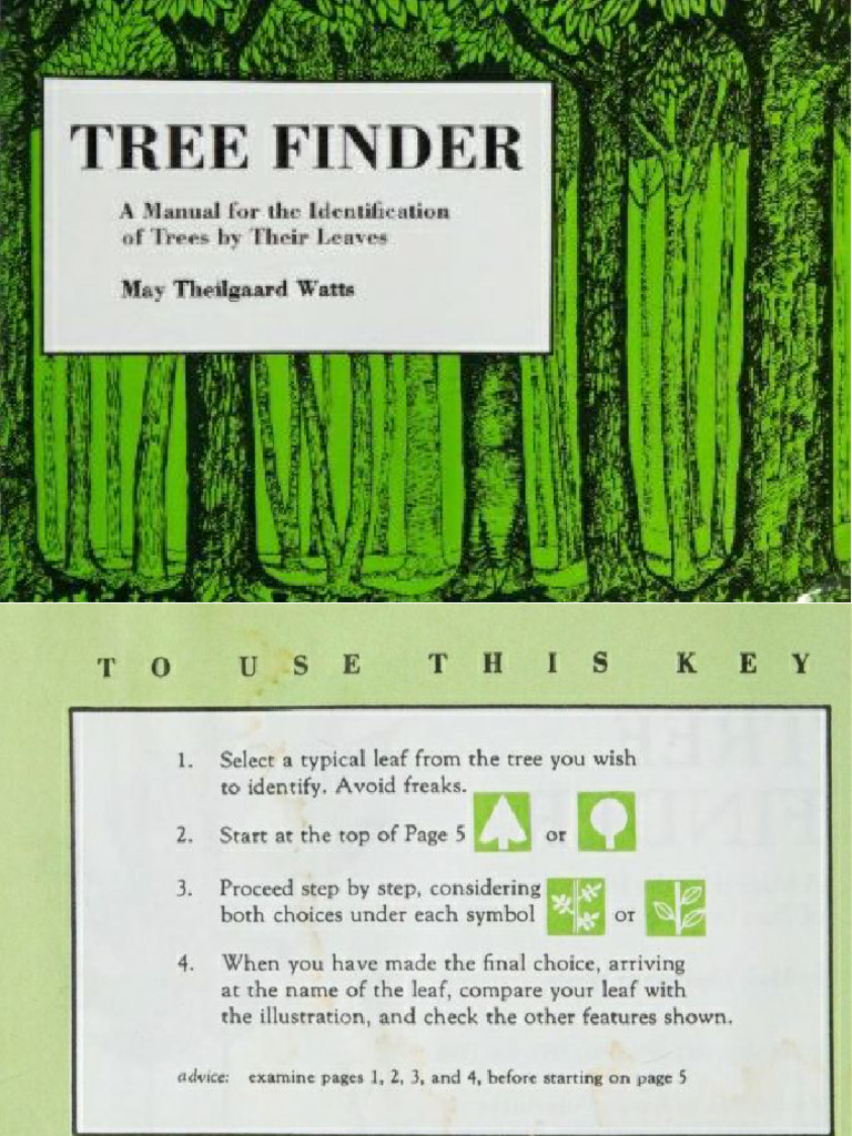 Tree Identification Guide by Leaves | PDF | Leaf | Maple