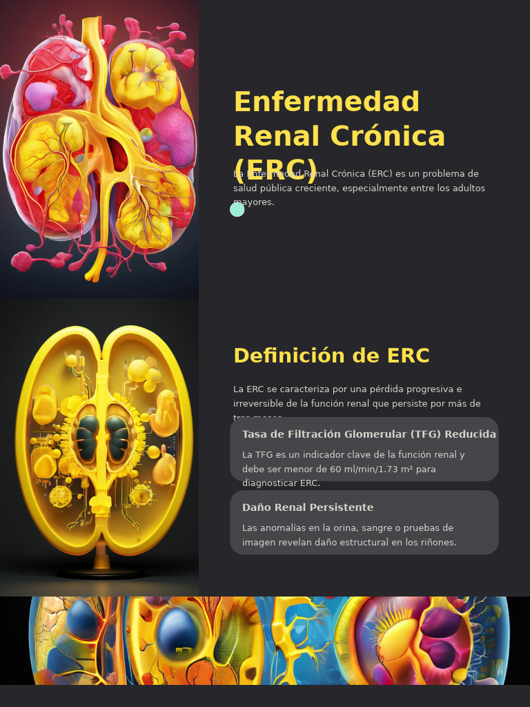 Enfermedad Renal Cronica ERC | PDF