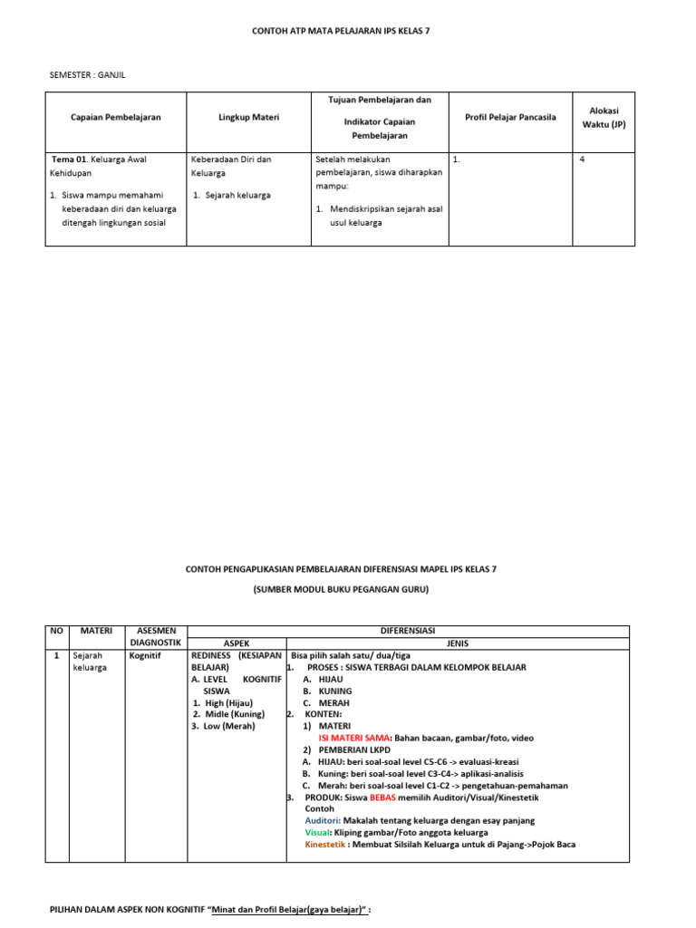 Contoh Isi Format ATP + Catatan Diferensiasi | PDF