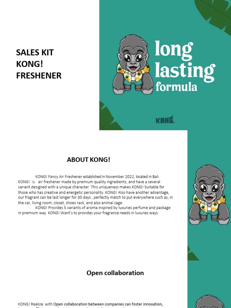 Sales Kit Kong 2024 | PDF