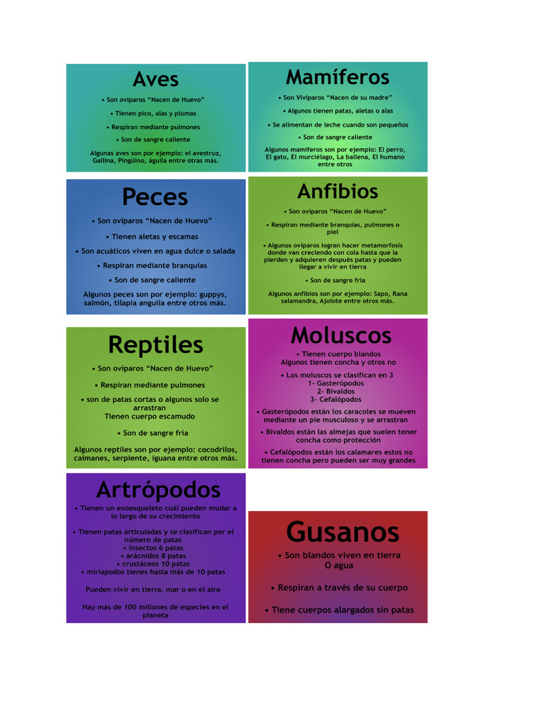 Clasificacion de Animales | PDF