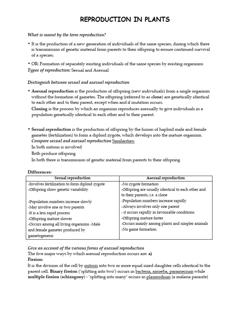 s5b Biology - Reproduction in Plants 2020 | PDF