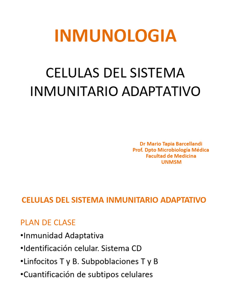 T03 Células Del Sistema Inmune Inmunología 2024-II | PDF