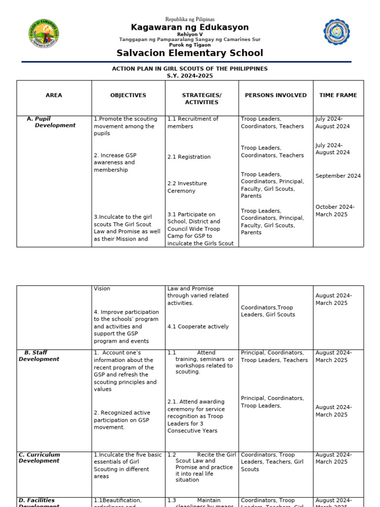 Girl Scout Action Plan | PDF