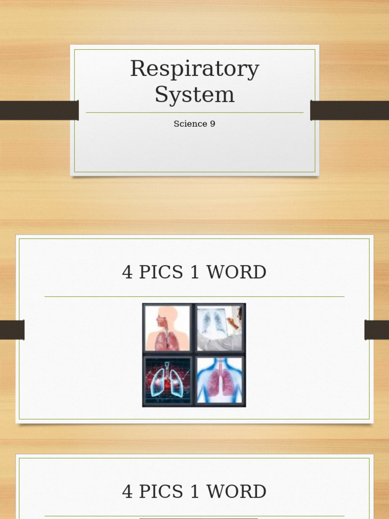 9 Respiratory System | PDF