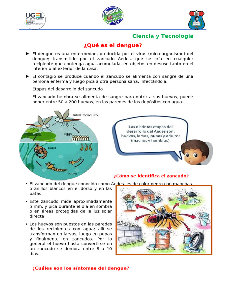 FICHA - Qué Es El Dengue | PDF