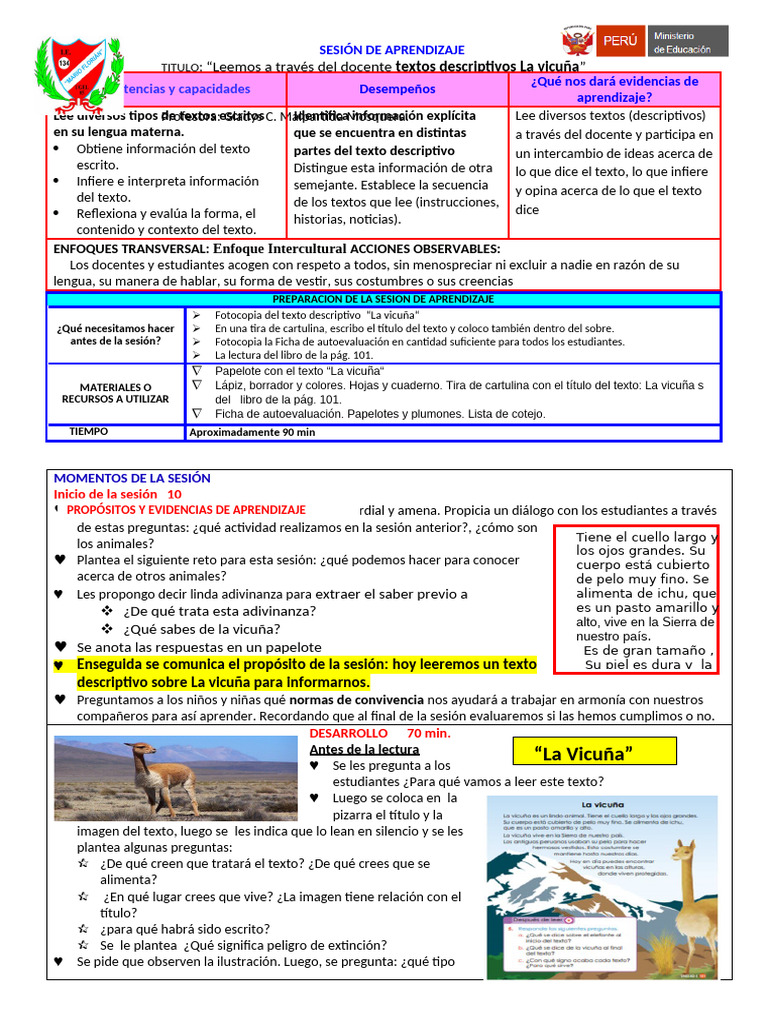 Sesion de La Vicuna | PDF