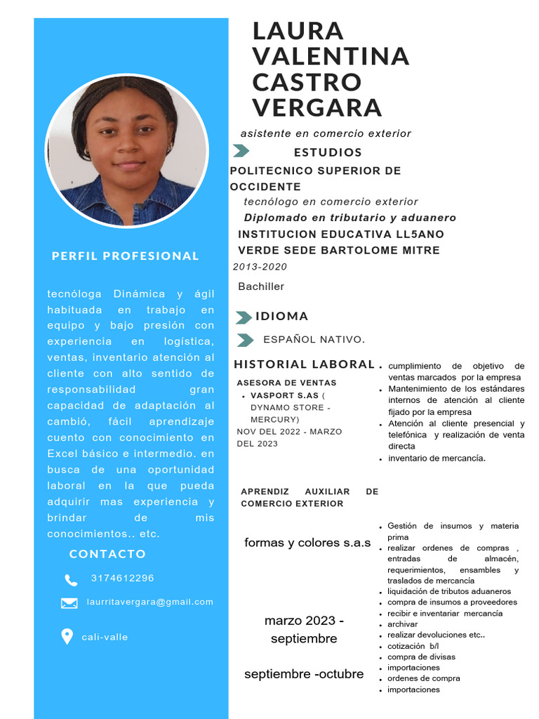 Cv Laura Castro | PDF