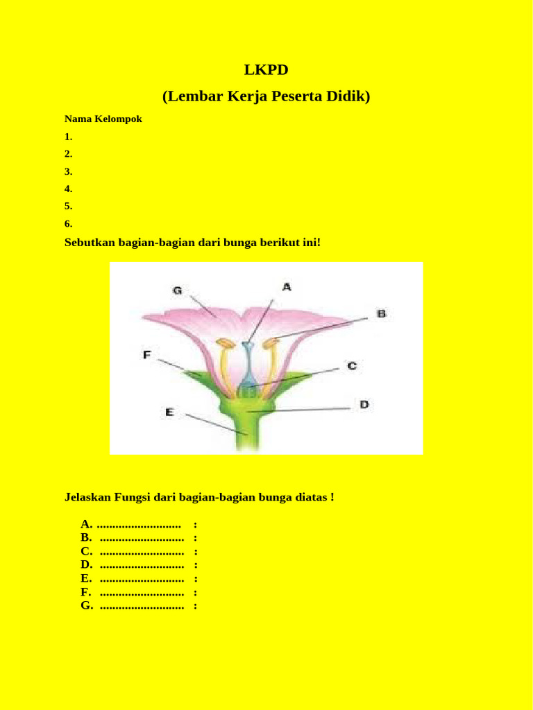 LKPD Kelas 4 PPL 2 | PDF