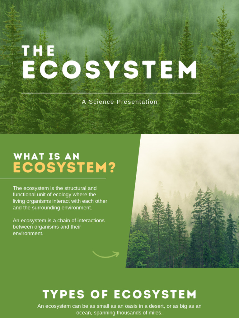 Ecosystem Geography Social Science Fun Photo School Project ...