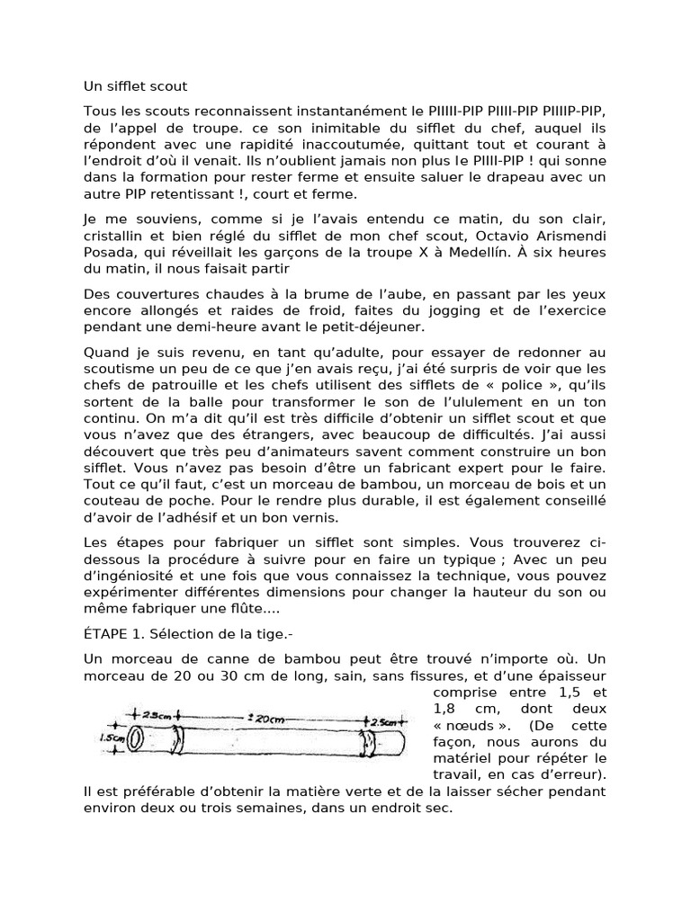 Un Sifflet Scout | PDF