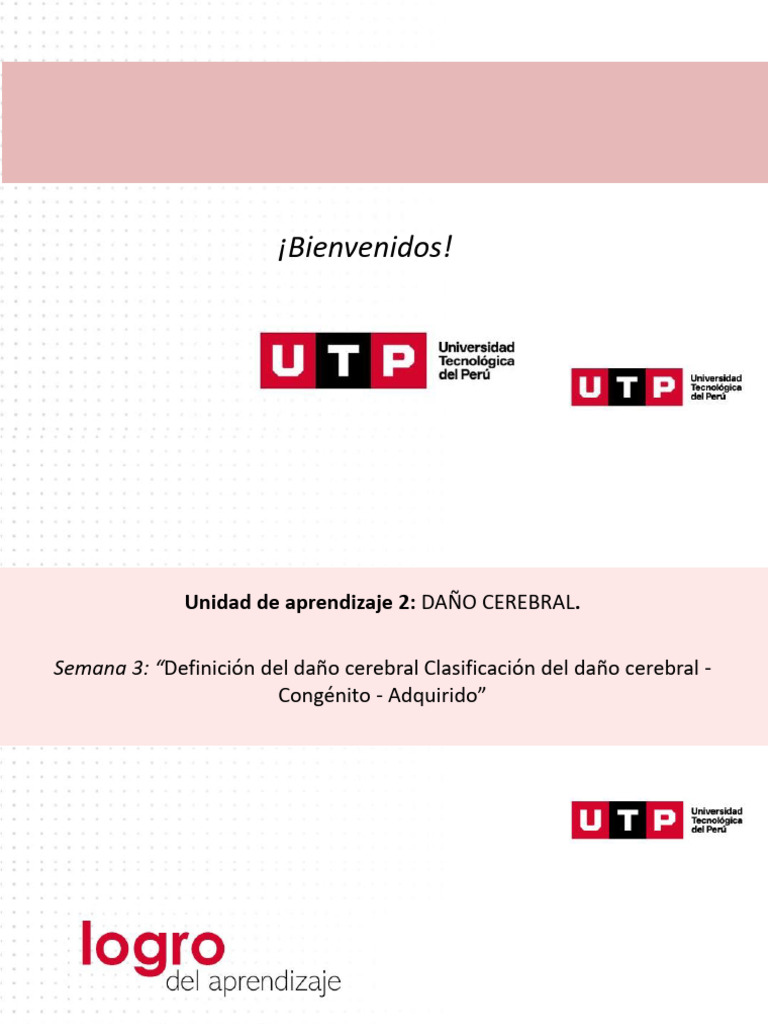 Daño Cerebral: Tipos y Prevención | PDF | Cerebro | Salud y bienestar
