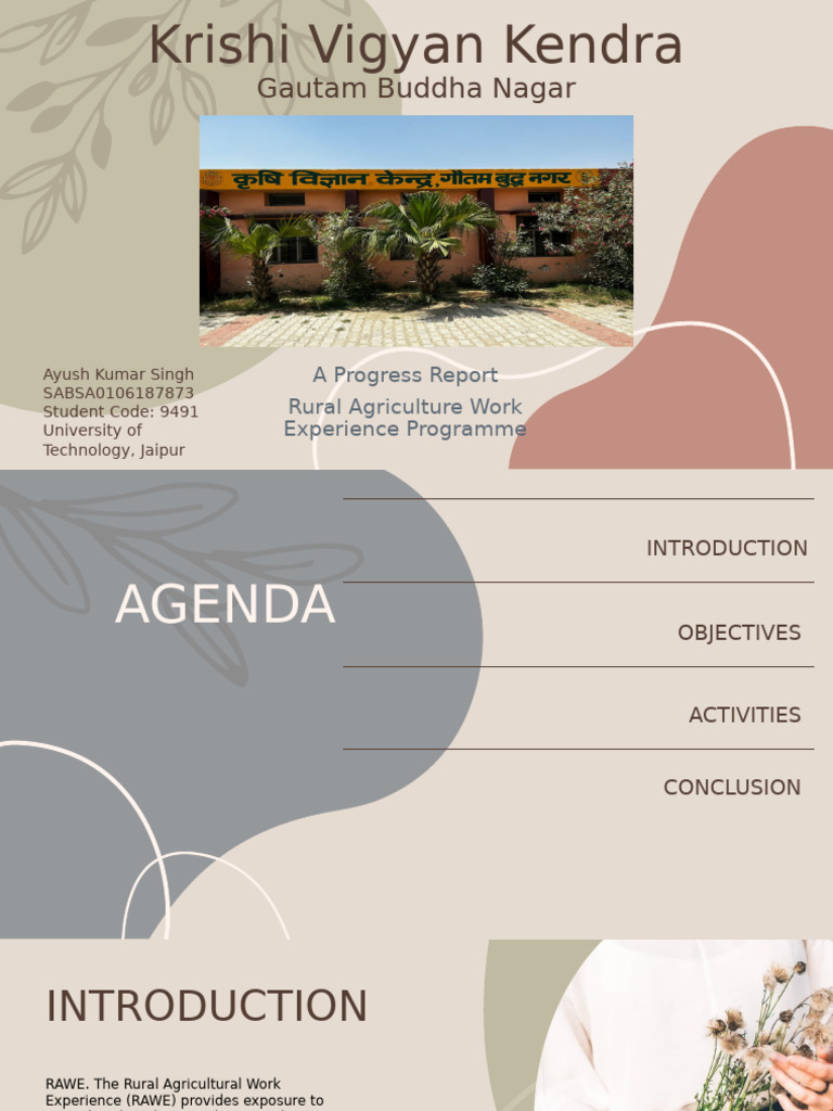 RAWE Presentation AYUSH KUMAR SINGH 2023 (Autosaved) | PDF RAWE Presentation AYUSH KUMAR SINGH 2023 (Autosaved) | PDF