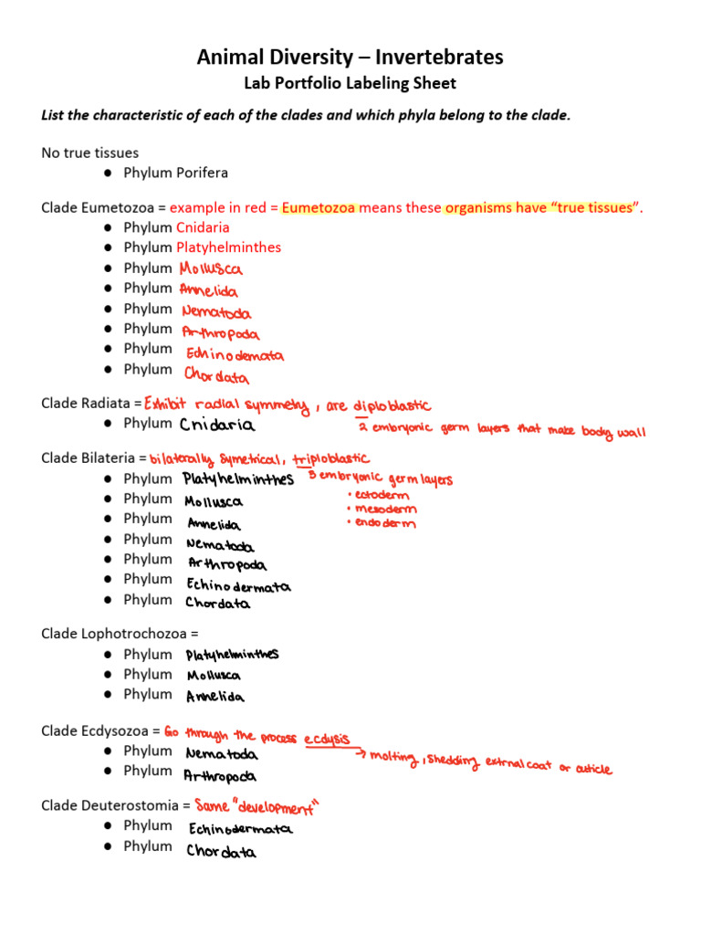 Labeling Sheet - Invertebrate Diversity | PDF